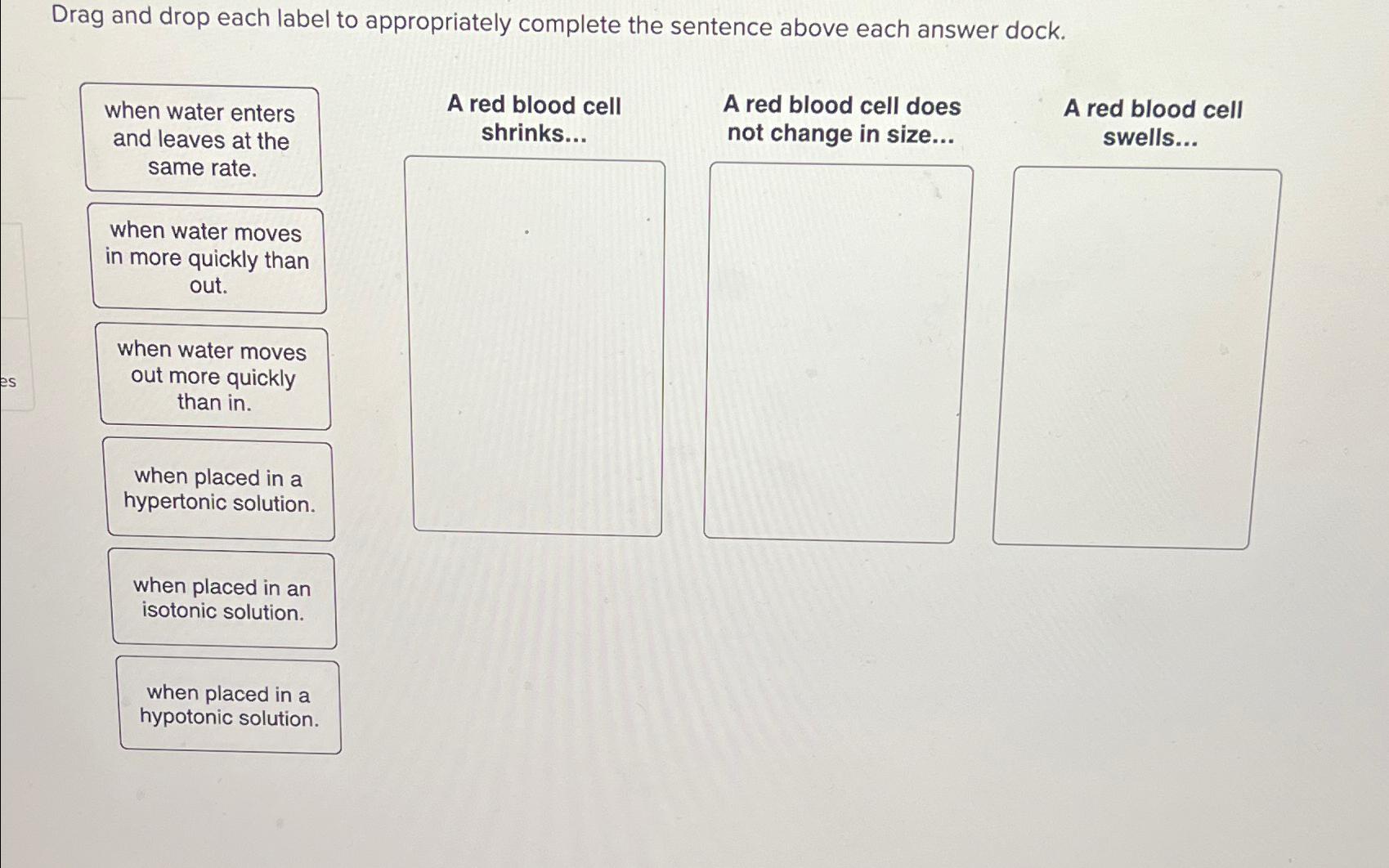 Solved Drag and drop each label to appropriately complete | Chegg.com