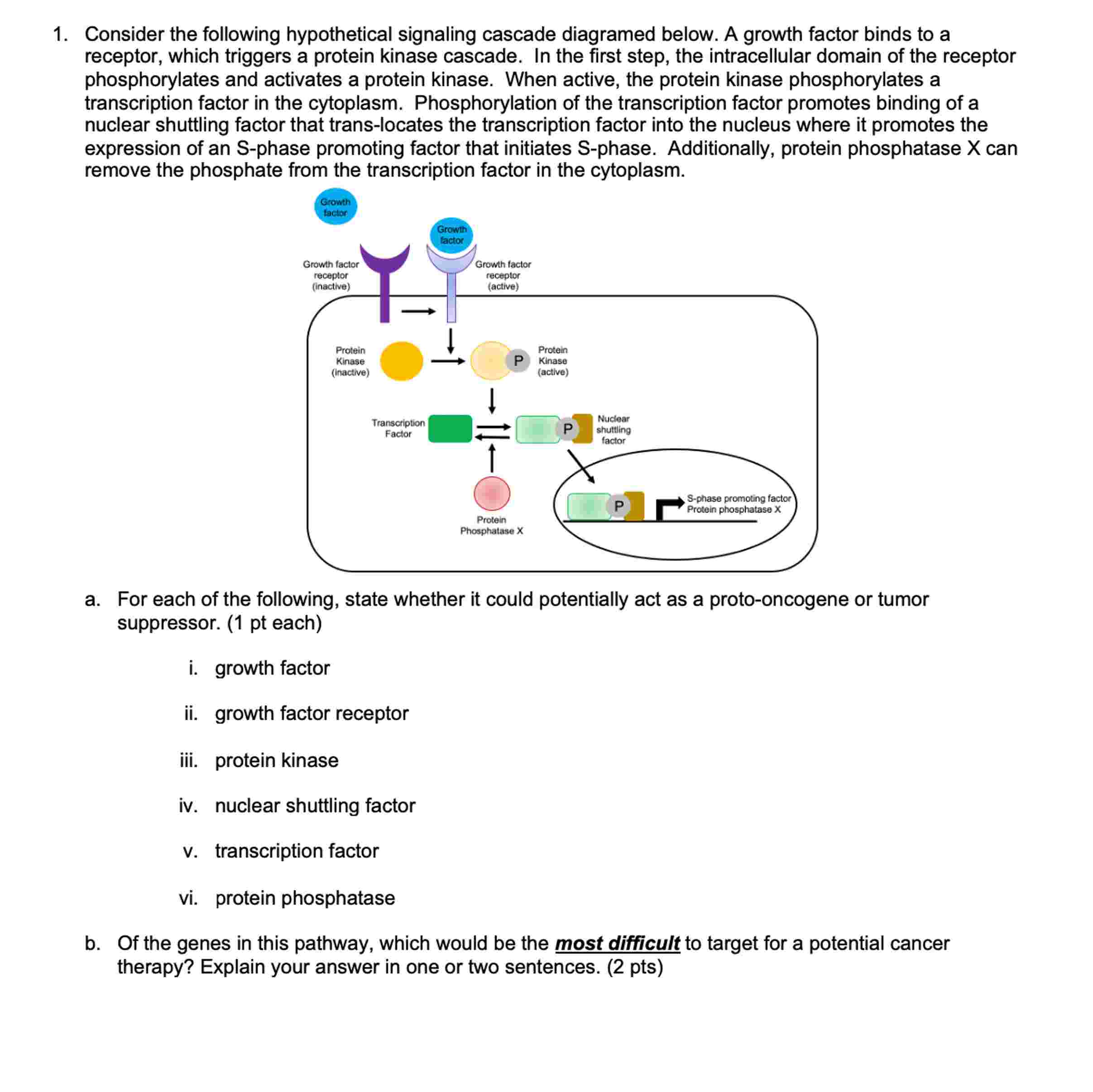 Solved 1. ﻿Consider the following hypothetical signaling | Chegg.com