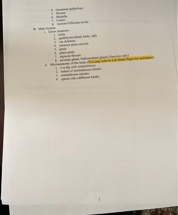 Solved APSC 530 Lab Exercise 9 The Reproductive System (Male | Chegg.com