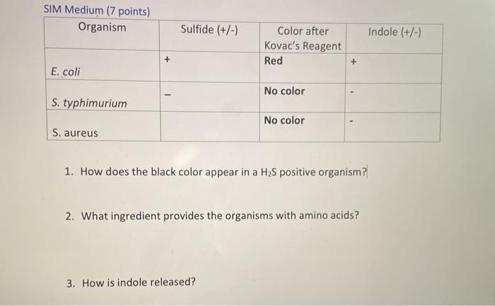 Solved SIM Medium (7 points) Organism Sulfide (+/-) Indole | Chegg.com