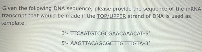 Solved Given the following DNA sequence, please provide the | Chegg.com