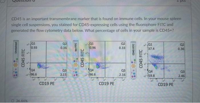 Solved CD45 is an important transmembrane marker that is | Chegg.com