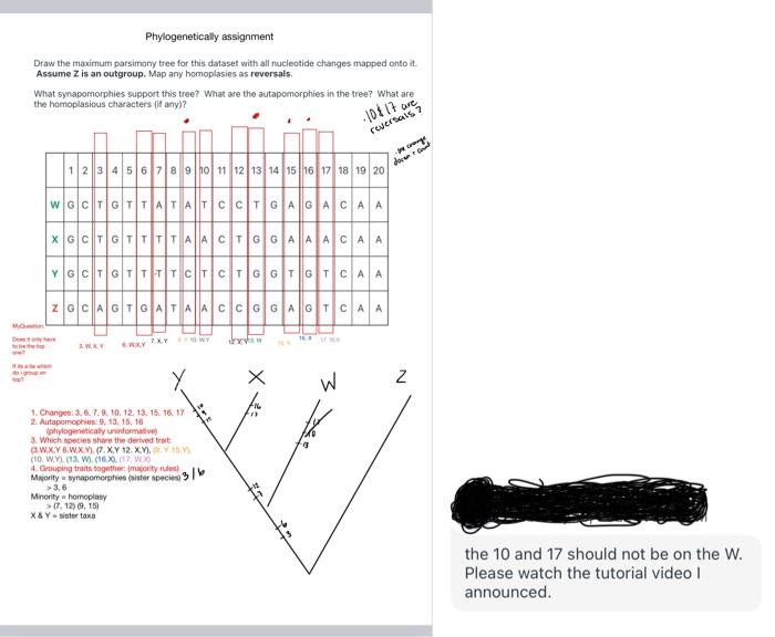 Solved Practice Parsimony Tree Building Below is an aligned | Chegg.com