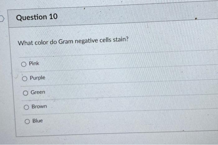 Solved Question 5 What color do Gram positive cells stain? O | Chegg.com