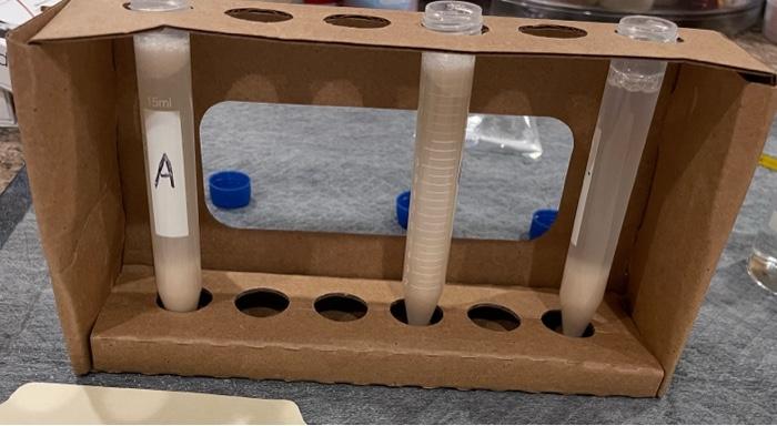 Solved tubes are in order of A B C. Need help answering | Chegg.com Solved tubes are in order of A B C. Need help answering | Chegg.com