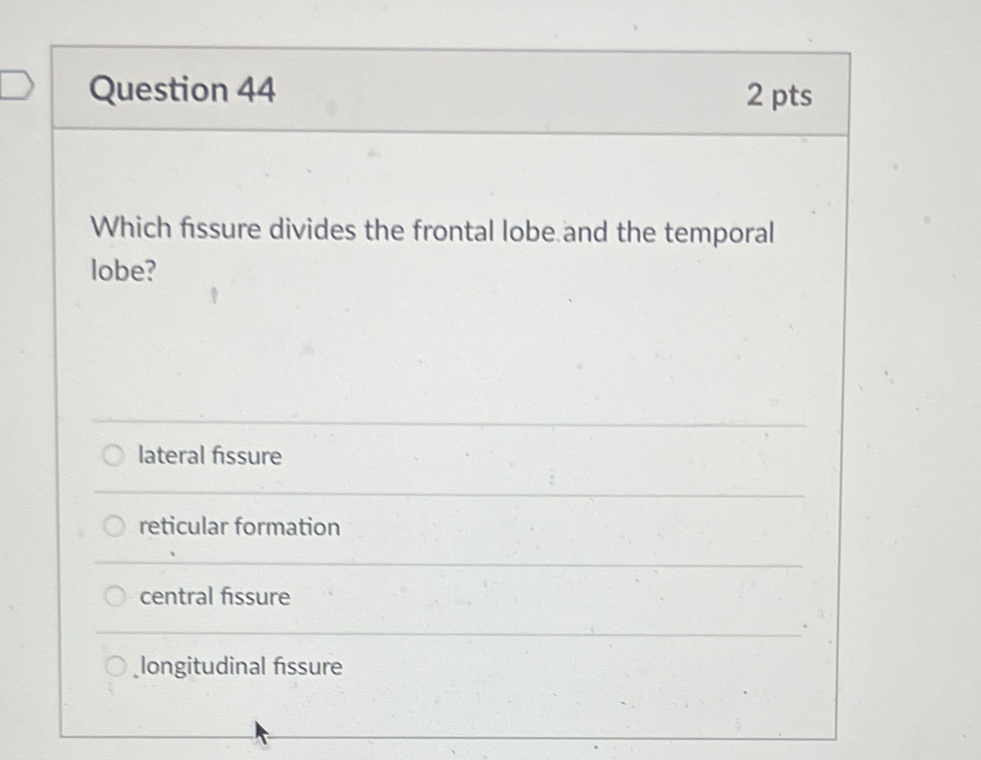 Solved Question 442 ﻿ptsWhich fissure divides the frontal | Chegg.com