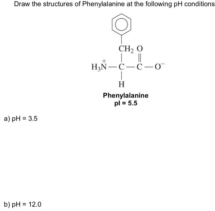 Solved Draw the structures of Phenylalanine at the following | Chegg.com