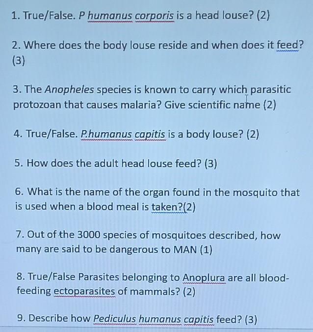 Solved 1. True/False. P humanus corporis is a head louse? | Chegg.com