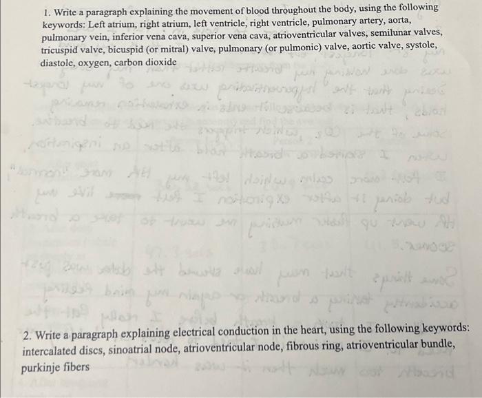 Solved 1. Write a paragraph explaining the movement of blood | Chegg.com