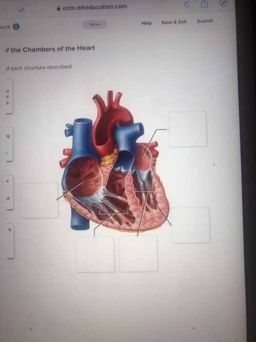 Solved: Applying The Functions Of The Chambers Of The Hear... | Chegg.com