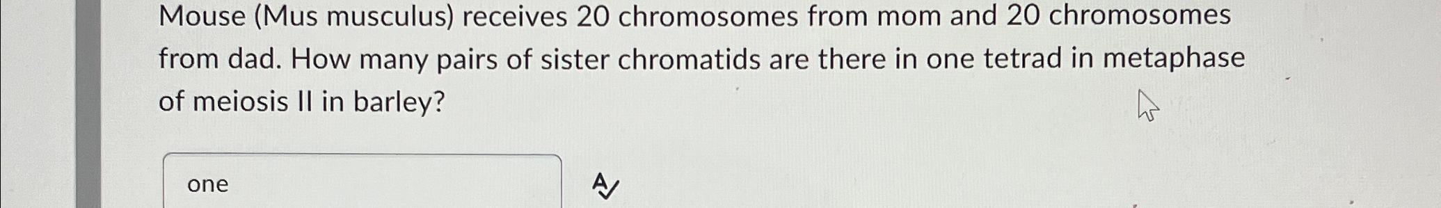 Solved Mouse (Mus musculus) ﻿receives 20 ﻿chromosomes from | Chegg.com