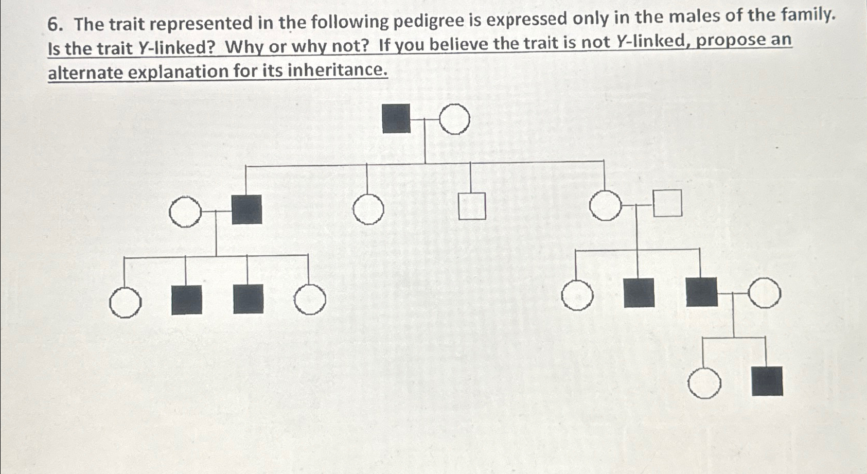 Solved The trait represented in the following pedigree is | Chegg.com