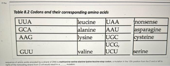 Solved Table 8.2 Codons and their corresponding amino acids | Chegg.com