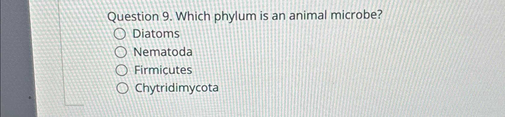 Solved Question 9. ﻿Which phylum is an animal | Chegg.com