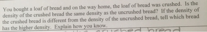Solved You bought a loaf of bread and on the way home, the | Chegg.com