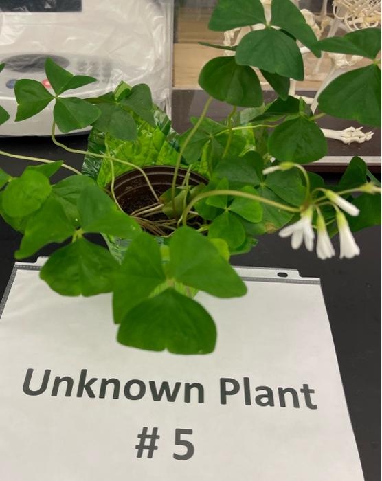 Solved Unknown Plant \# 1 Unknown Plant \# 3 | Chegg.com