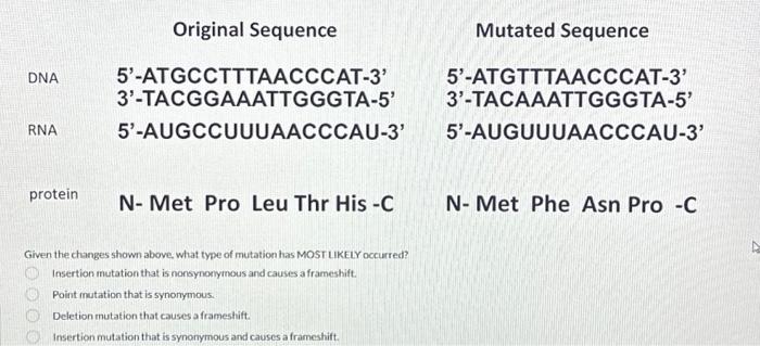 Solved Given the changes shown above, what type of mutation | Chegg.com