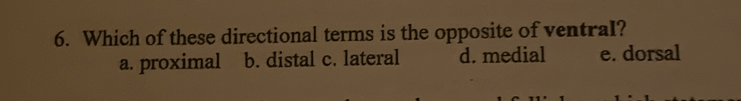 Solved Which of these directional terms is the opposite of | Chegg.com