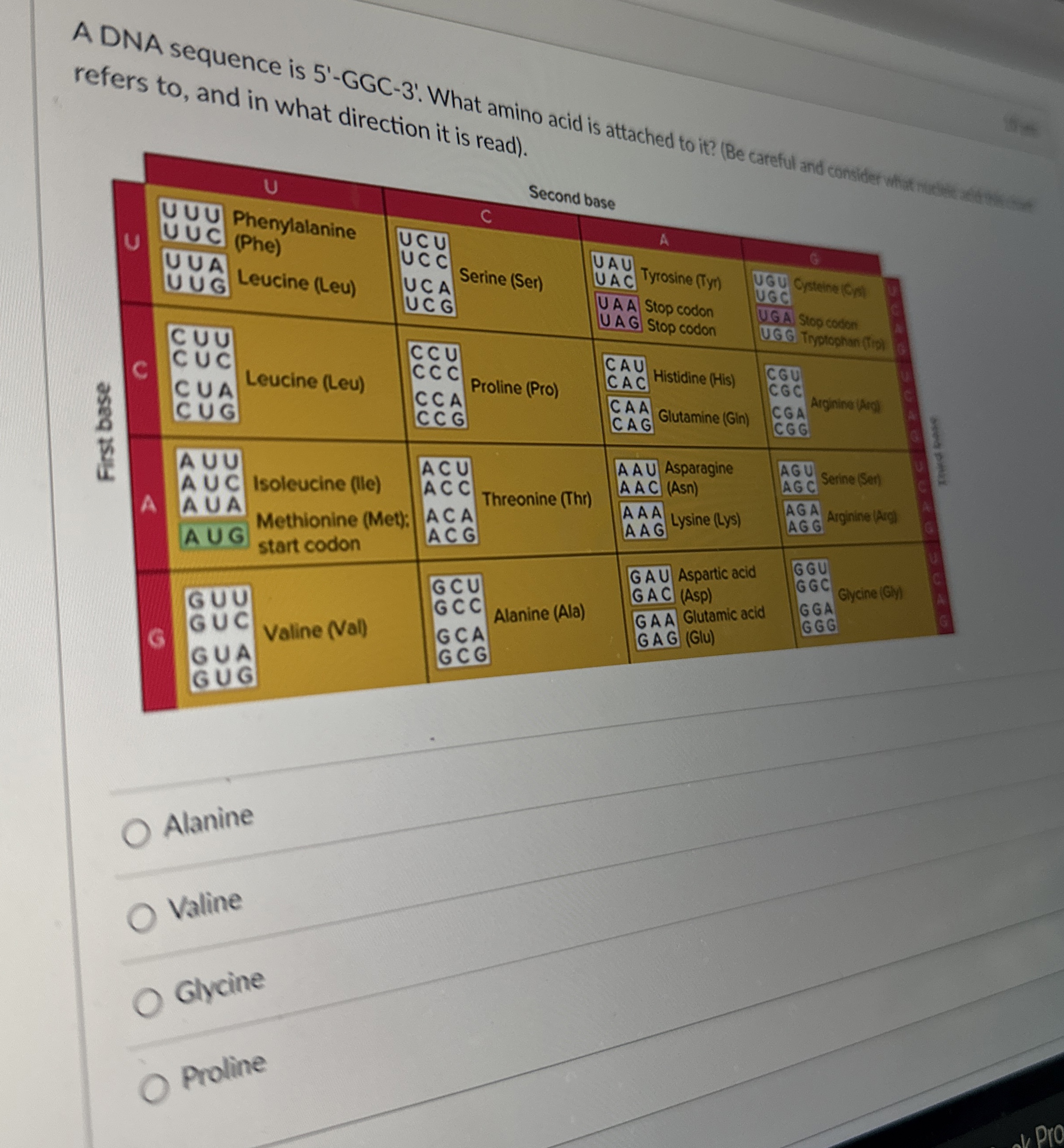 Solved A DNA sequence is 5'-GGC-3'. ﻿What ami refers to, | Chegg.com
