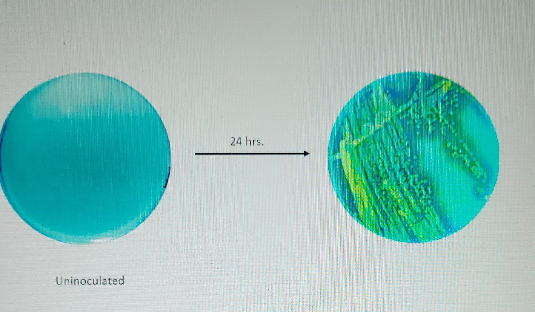 Solved Mixed Unknown Identification Form Unknown 'Patient | Chegg.com