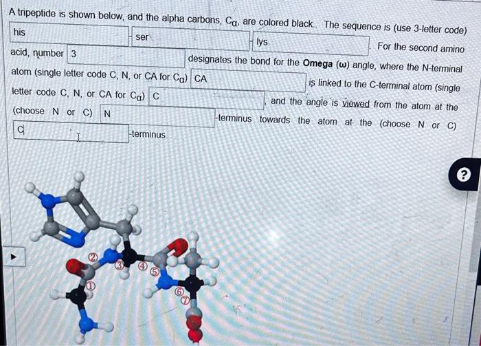 Solved A tripeptide is shown below, and the alpha carbons, | Chegg.com