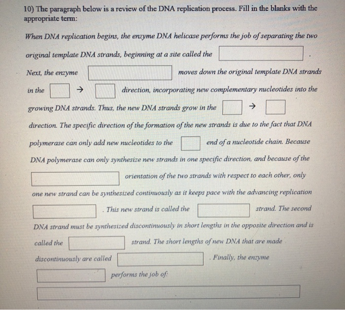Solved 10) The paragraph below is a review of the DNA | Chegg.com