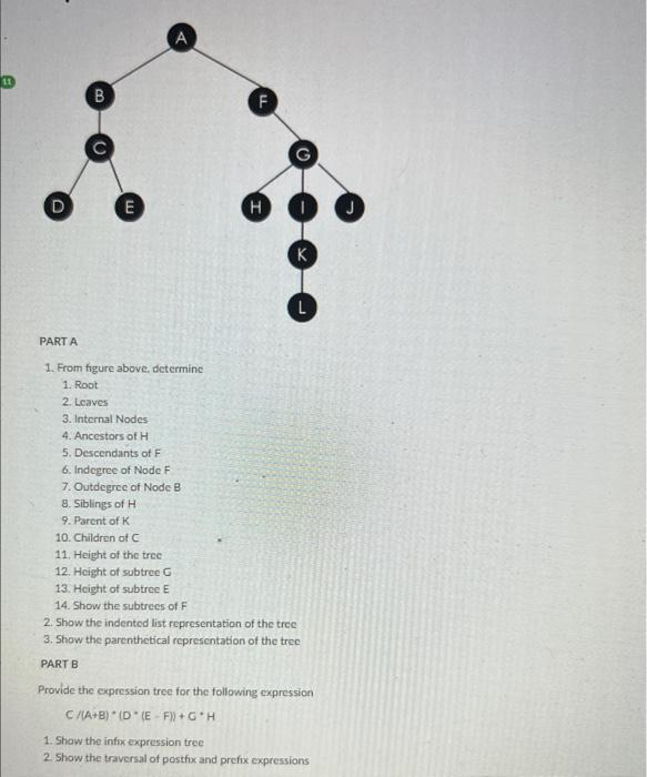Solved 1. From figure above, determine 1. Root 2. Leaves 3. | Chegg.com