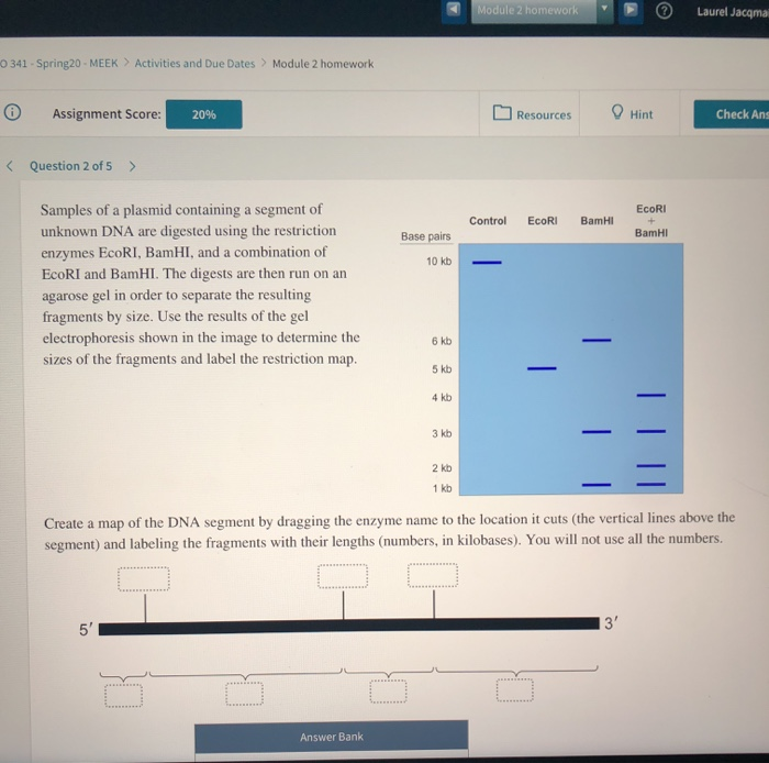 Solved Module 2 homework Laurel Jacqmai 0341 - Spring | Chegg.com