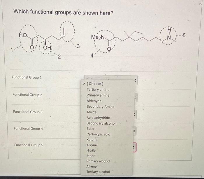 Solved Which functional groups are shown here? | Chegg.com