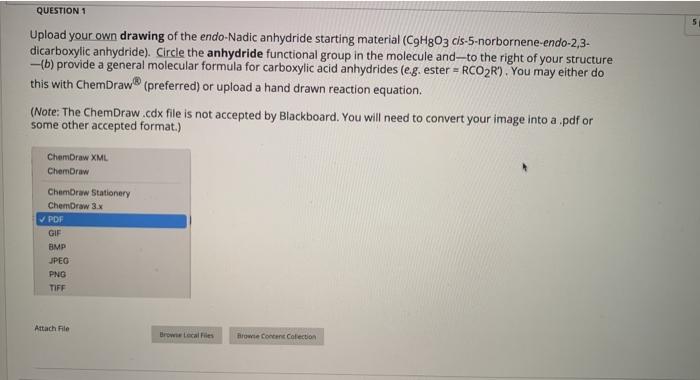 Solved QUESTION 1 Upload your own drawing of the endo-Nadic | Chegg.com