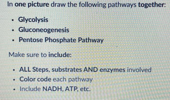 Solved In one picture draw the following pathways together: | Chegg.com