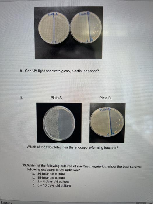 Solved Lab Assignment - Effect of Ultraviolet Light on | Chegg.com