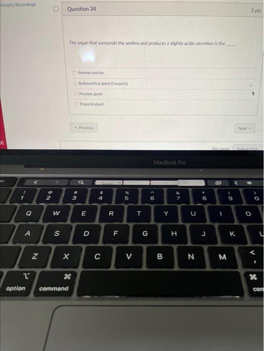 Solved During amphimixis Melosis occurs Sperm become | Chegg.com