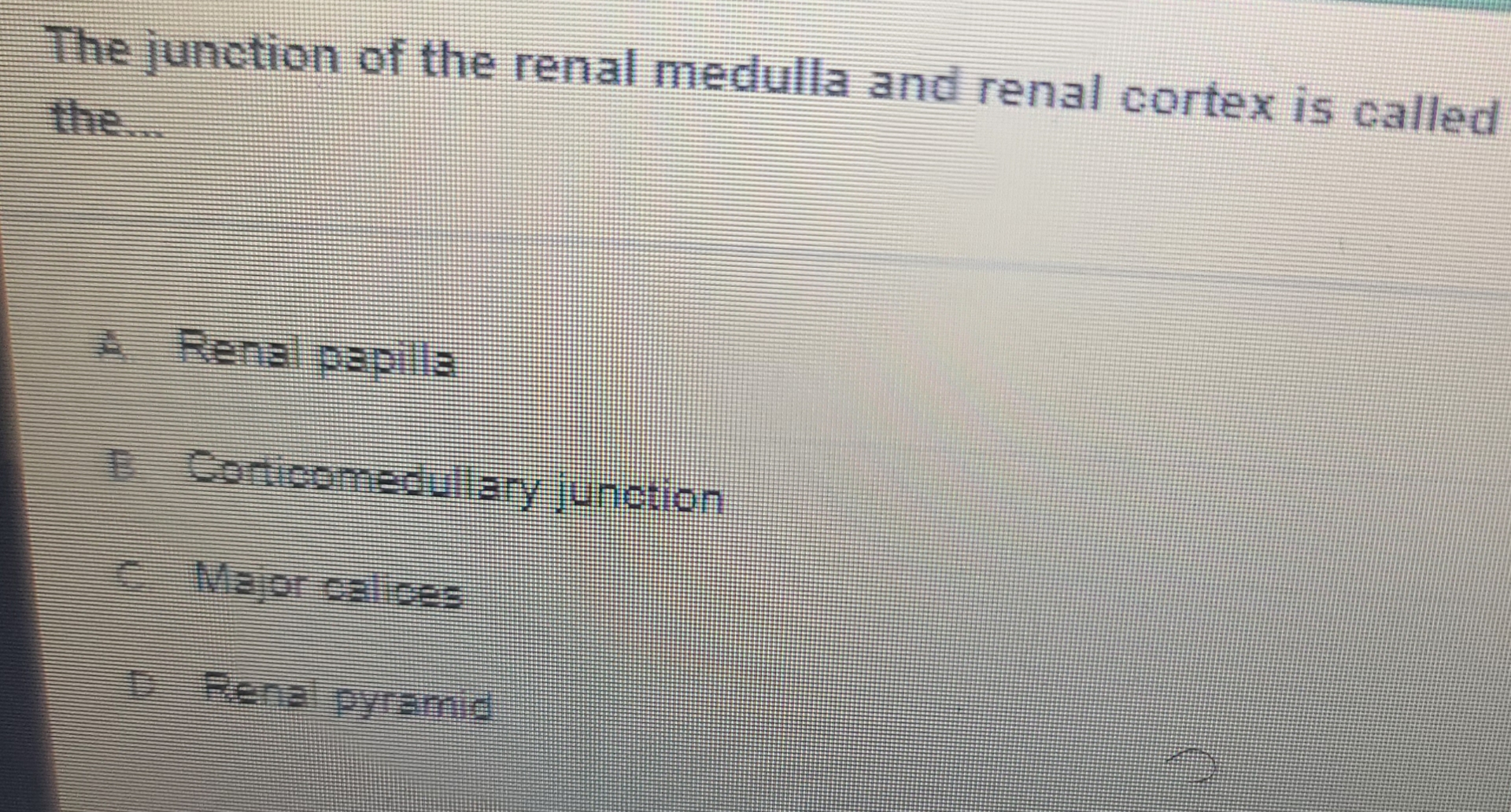 Solved The junction of the renal medulla and renal cortex is | Chegg.com
