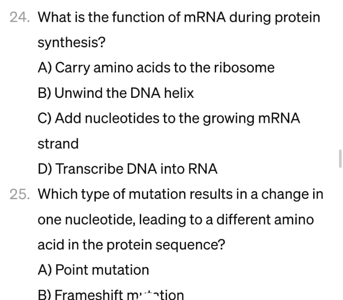 Solved What is the function of mRNA during protein | Chegg.com