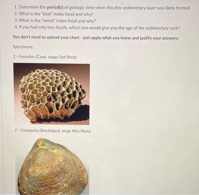 Solved Era Period Fossil Assemblage 1. Determine the | Chegg.com