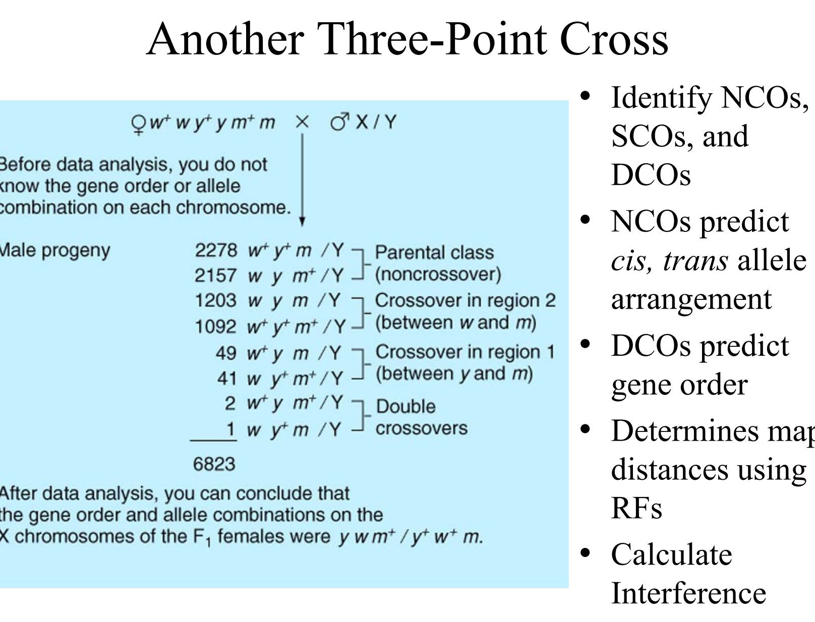 Solved what is the gene map of the three point cross:Another | Chegg.com