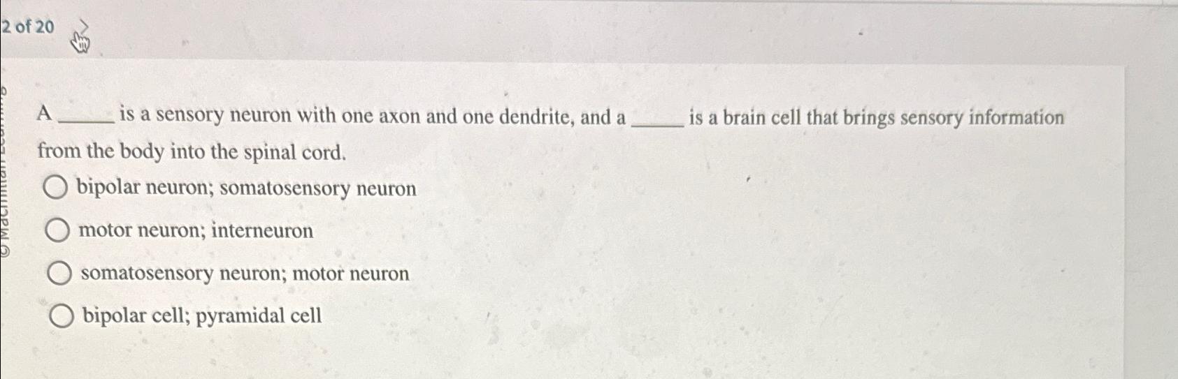 Solved 2 ﻿of 20A is a sensory neuron with one axon and one | Chegg.com