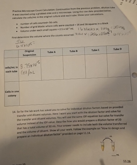 Solved Practice Microscope Count Calculation: Continuation | Chegg.com
