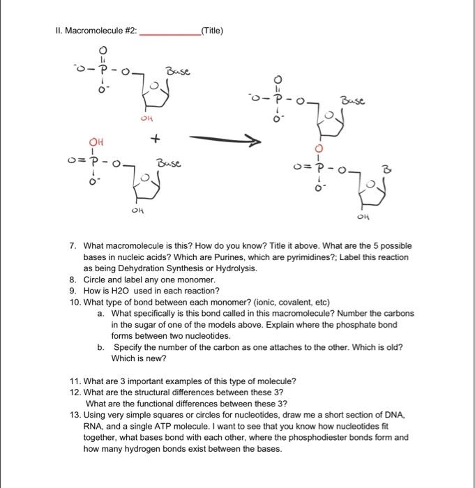 Solved II. Macromolecule \#2: (Title) 7. What macromolecule | Chegg.com