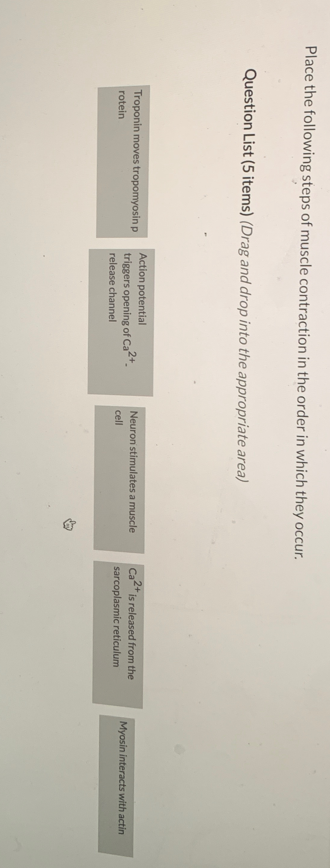 Solved Place the following steps of muscle contraction in | Chegg.com