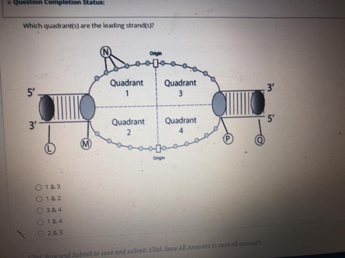 Solved Question completion Status: Which quadrantis) are the | Chegg.com