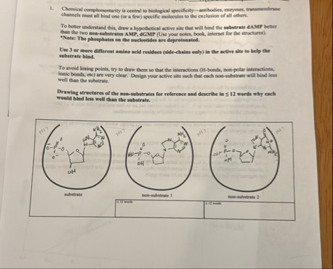 Solved Chemical complementarity is central to biological | Chegg.com