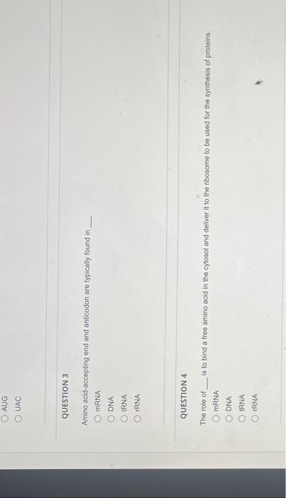 Solved The anticodon binds to a complementary codon in the | Chegg.com