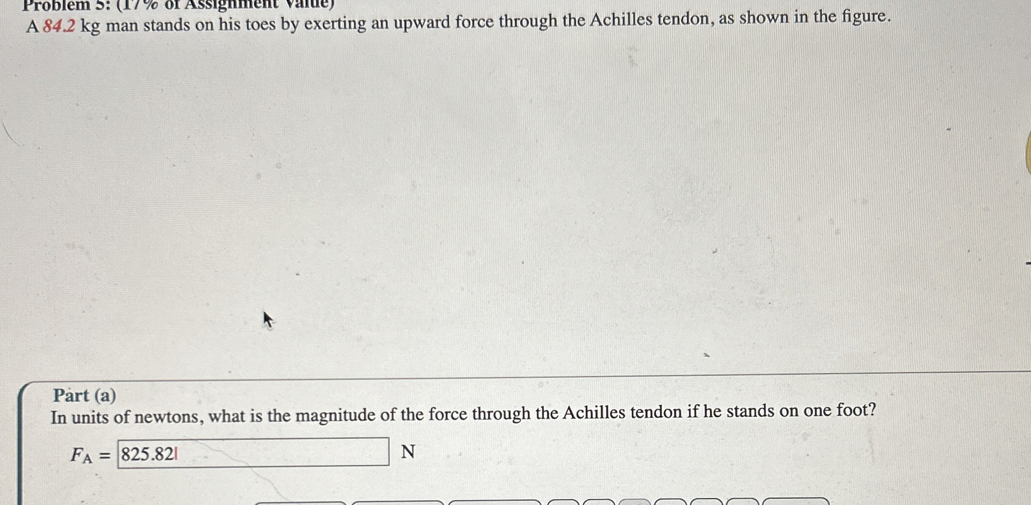 Solved A 84.2 ﻿kg man stands on his toes by exerting an | Chegg.com