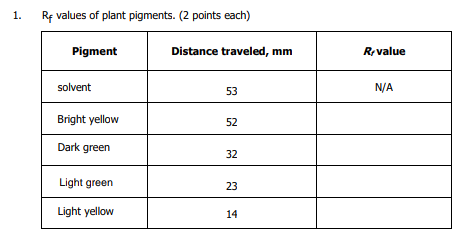 1. Rf values of plant pigments. (2 points each) | Chegg.com
