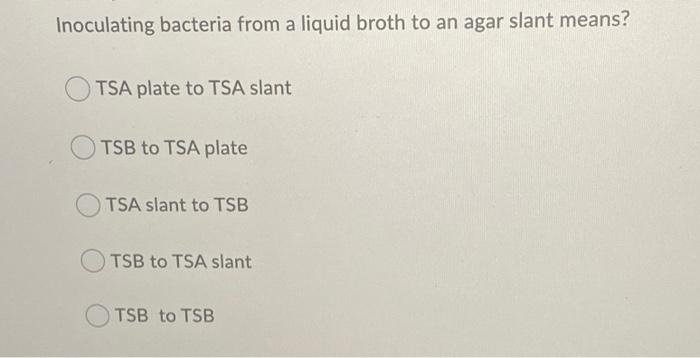 Solved Inoculating bacteria from a liquid broth to an agar | Chegg.com