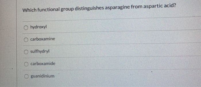 Solved Which functional group distinguishes asparagine from | Chegg.com