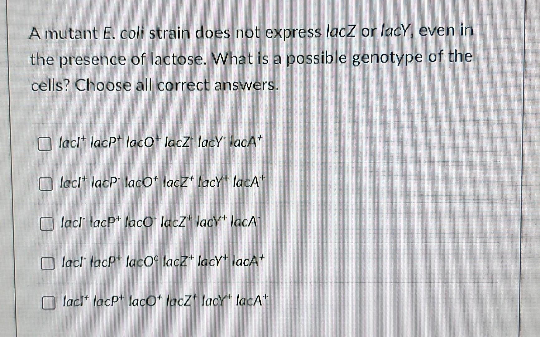Solved A mutant E. coli strain does not express lacZ or | Chegg.com