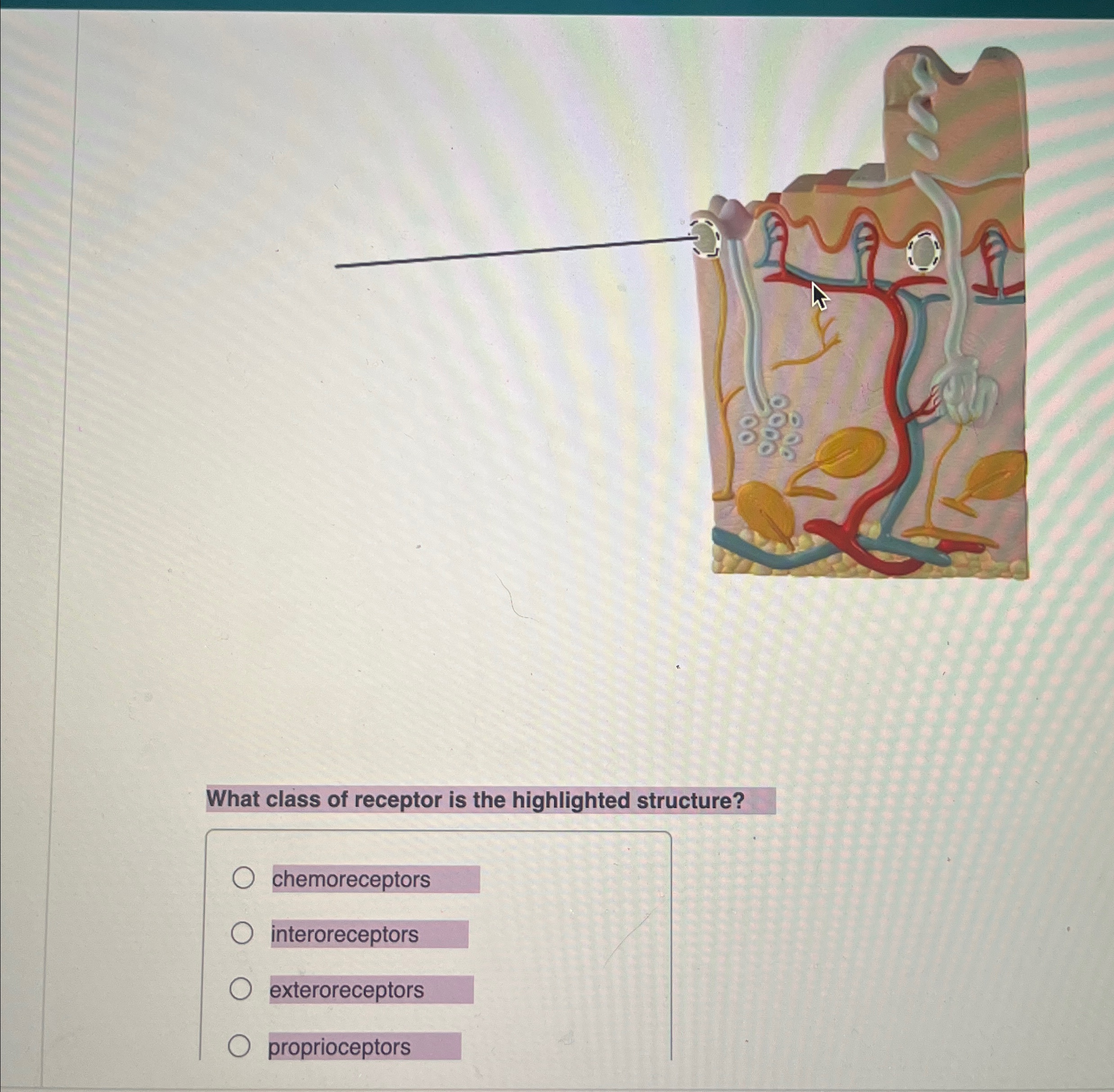 Solved What class of receptor is the highlighted | Chegg.com